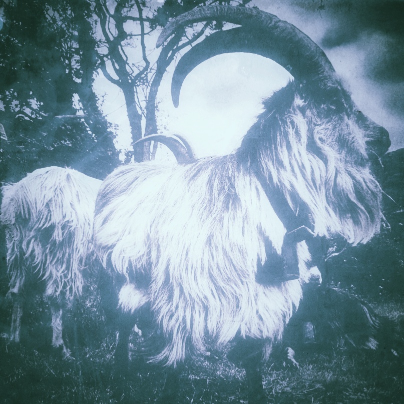 See One, Do One, Teach One.